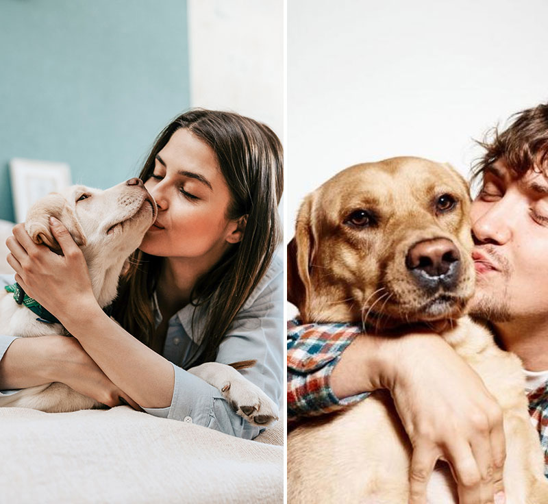 Selon une étude, les humains embrassent leurs chiens plus que leurs ...