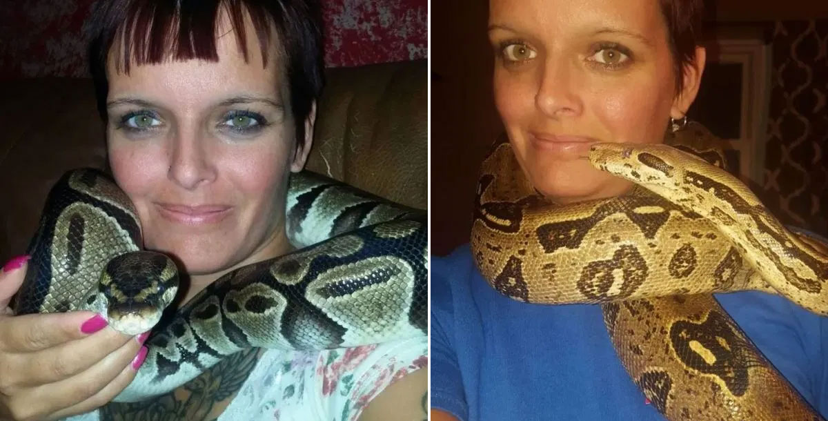 Laura, 36 ans, étranglée à mort par un python de 2 mètres 30 de long ...