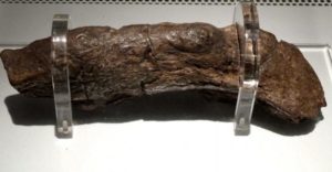 La plus grande crotte d'un humain mesure 20 centimètres et se trouve ...